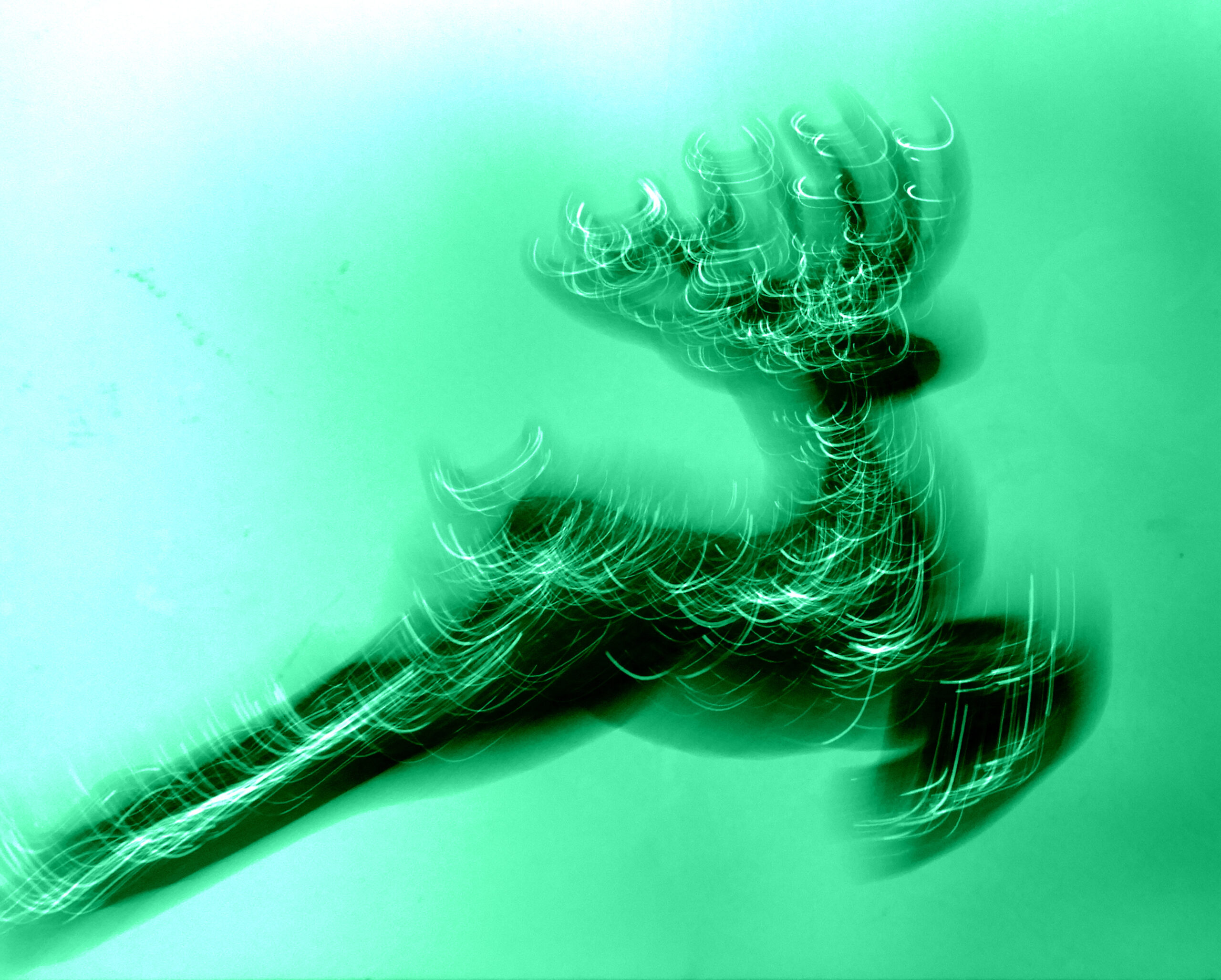 Charles Bonnet Syndrome: Why Am I Having Visual Hallucinations ...